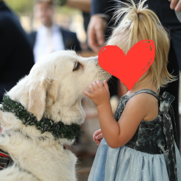 Winter Wedding Floral Crown-preserved Juniper Crown - Etsy