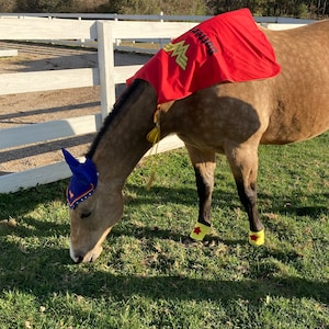Word Girl Custom Kid's Cape Handmade and Reversible - Etsy