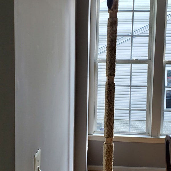 Cat Pole! Cats Can Climb From Floor to Ceiling for Play and Exercise ...