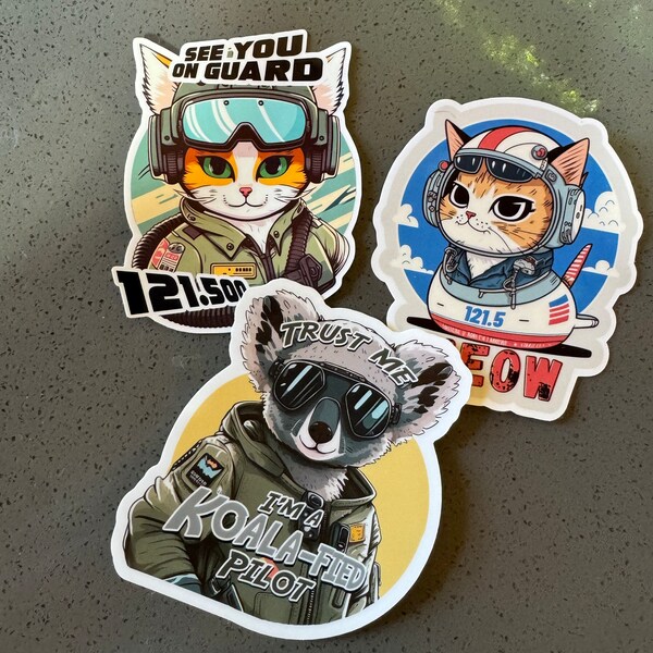 2 Pack BOO-EING 737 Ghost Sheets Halloween Aviation Glossy Vinyl ...