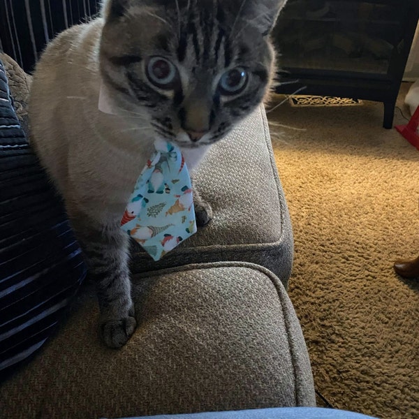Cat Bow Tie The One Where Tv Show Tie Friendsgiving Etsy 6762