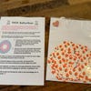 Set of 12 Butterfly Freestyle Libre 1 & 2 Diabetes Sensor Stickers ...