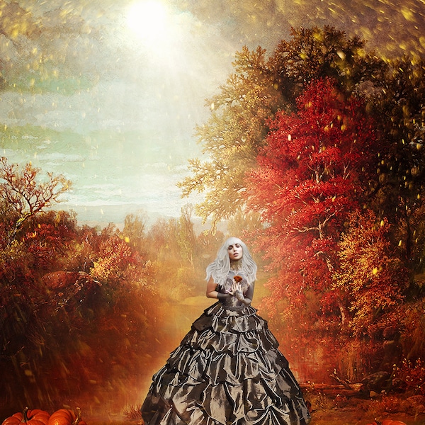 Forest Park Digital Backdrop Background for Photoshop - Etsy