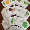 VEGETABLES real Pictures 46 Editable Montessori Cards Flash Cards ...