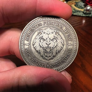 Dum Spiro Spero Coin EDC Reminder Coins Hope Challenge - Etsy