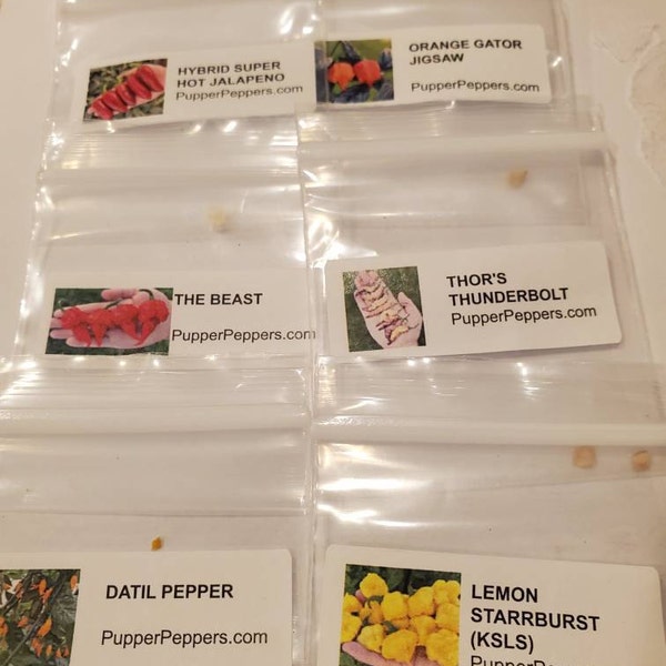 Purple Peach Carolina Reaper Rare Pepper Seeds Premium Packet - Etsy