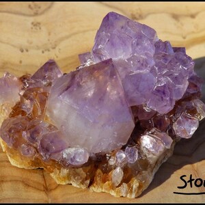 RARE Madagascar Anapuzosia Ammonites Fossil Pairs/millions Old Fossil ...