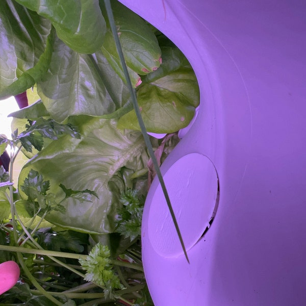 10 Lettuce Grow Pod Label Markers - Etsy
