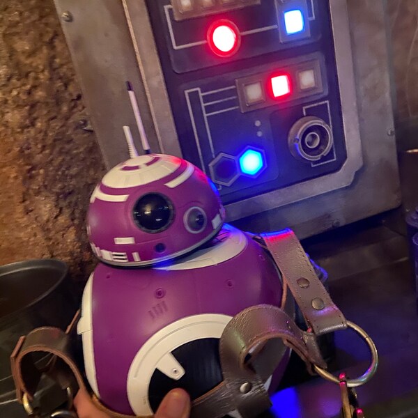 Galaxy’s Edge Bb-series and R-series Droid Carrier, Genuine Leather ...