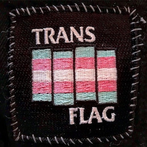 Queer Flag Tshirt LGBTQIA Punk Rock Queer Pride - Etsy