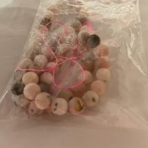 AAA Queen Conch, Natural Pink Queen Conch Shell Smooth Round Ball ...