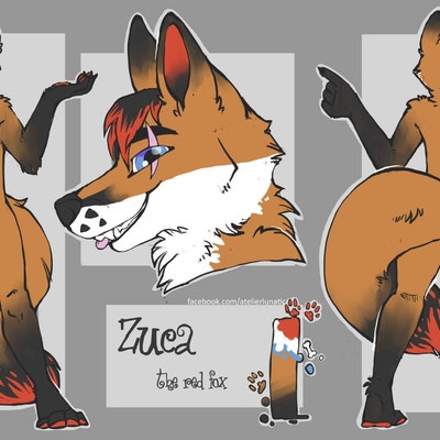 Character Reference Sheet Commission Drawing Illustration - Etsy