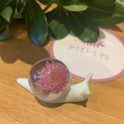 Mould for Resin Snail Slug 48 X 20 Mm Transparent Silicone Mould, Snail ...