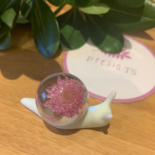 Mould for Resin Snail Slug 48 X 20 Mm Transparent Silicone Mould, Snail ...