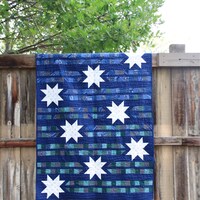 A Gathering Quilt Pattern, Complete Block of the Month Pattern Set by Barbara Persing, Quail ...
