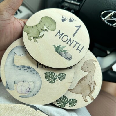Dinosaur Milestone Cards, Baby Milestone Dinosaur Discs Marker, Wood ...