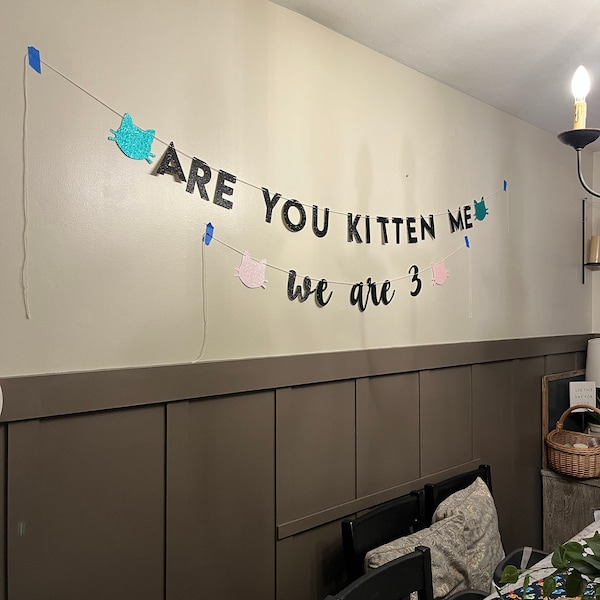 Custom Cat Banner, Kitty Themed Party Decorations, Cat Themed Banner ...