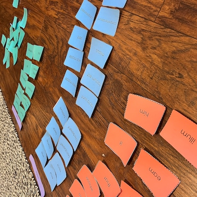 Latin Matching Interactive Chart for Classical Conversations Cycle 3 ...