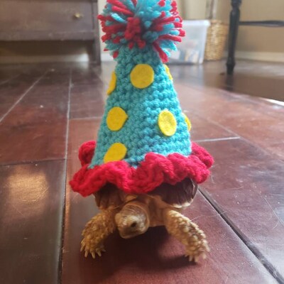 Birthday Hat Costume for Turtles/tortoises - Etsy