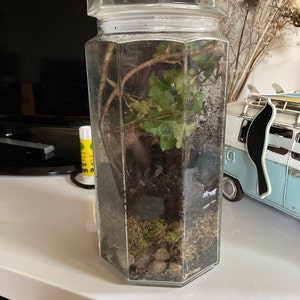 Handmade Waterproof Glass Terrarium Container 'zero' - Etsy