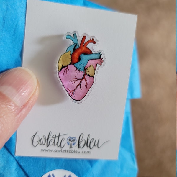Anatomical Heart Acrylic Tack Pin ( Anatomy / Physiology / Healthcare ...
