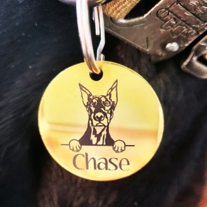 Dog Tag Name Tag Pet ID Dog Name Disc Engraved Stainless - Etsy UK