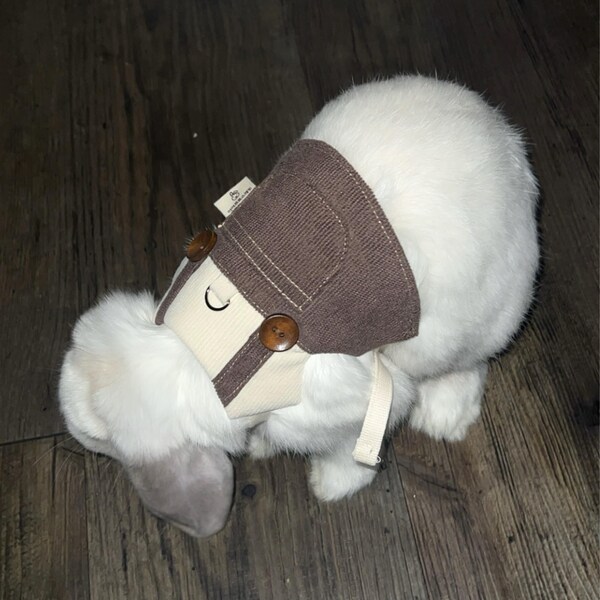 Mini Dot Pattern Harness for Only Rabbit Bunny, Dress Harness and Leash ...