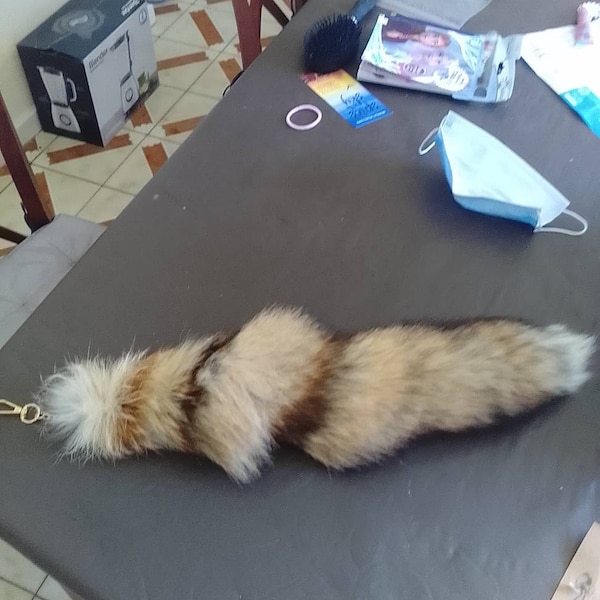 B Grade Fox Tail Keychains, Tails for Therians, Taxidermy Tails - Etsy