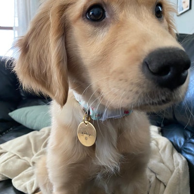 Simple Custom Hand Stamped Dog Tag Dog Tags for Dogs Pet Id - Etsy