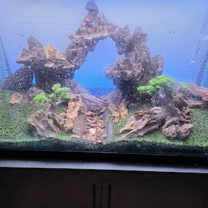 2-4 Gallon Nano Aquascape Decor SOUL CANYON Aquarium Dragon - Etsy