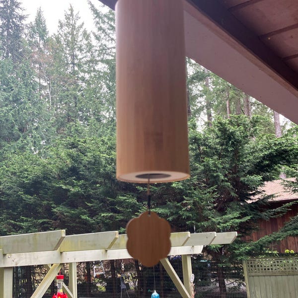 GMP Pangi Seed Shell Shaker/juju/chacha Nutshell Percussion Sound ...