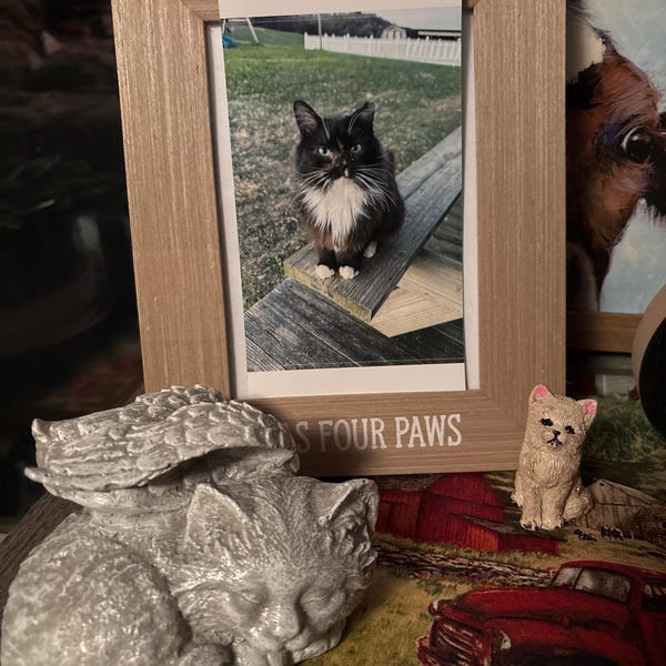 Exquisite Concrete Garden Fawn Deer Statue! Hand Cast and Hand Painted ...