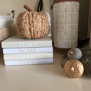 Modern Book Stack Book Set Coffee Table Books Coffee Table Decor Modern ...