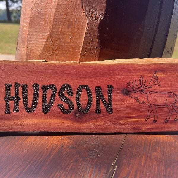 Rustic Office Door Name Plate or Sign - 100% Custom - Etsy