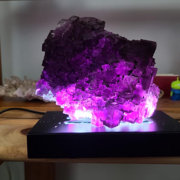 Santa Cruz Lights 5 LED Square Black Lacquer Color Changing Stand Base ...