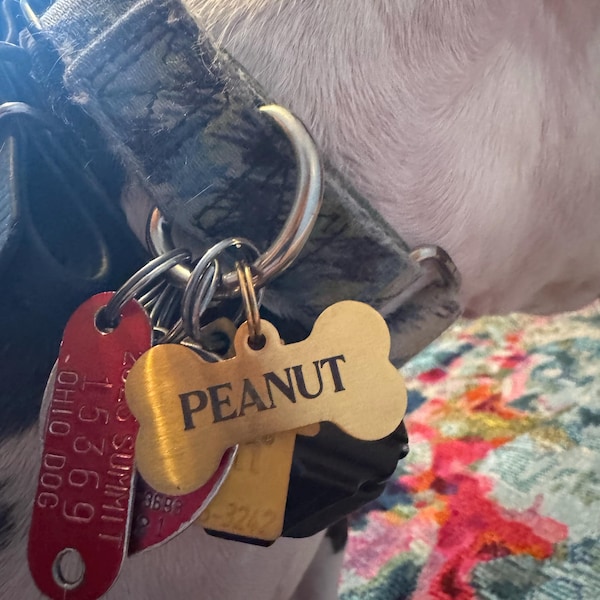 Personalized Bone Dog Tag | Thick 3mm Pet ID Tag Shaped Like a Dog Bone ...