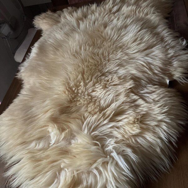 Double Pink Merino Sheepskin Rug Long Rug Shaggy Rug Chair Cover Area ...