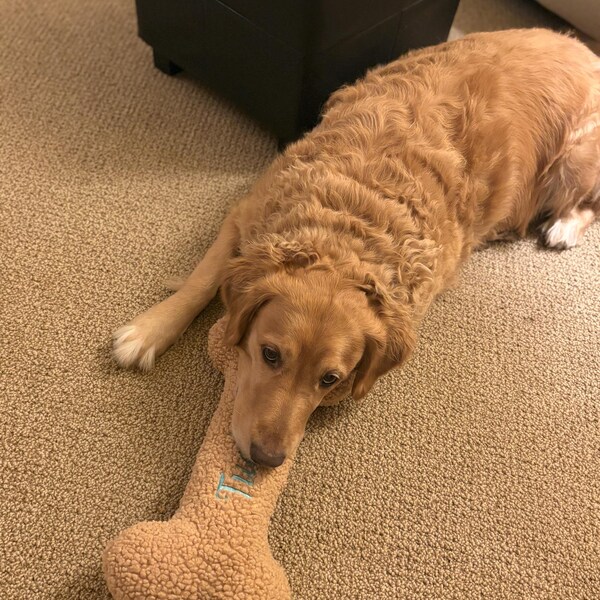 Embroidered Dog Toy Gift - Personalized Dog Toy Custom Dog Toy Puppy ...