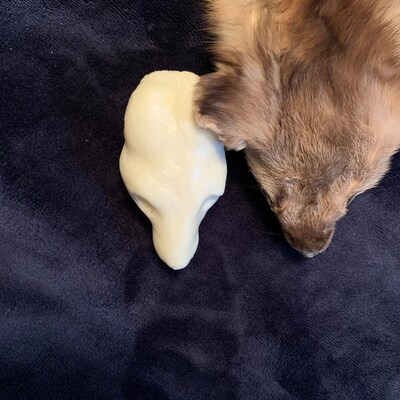 Weasel Slap Bracelet, Sherman the Ermine, White Ermine Slap Bracelet ...