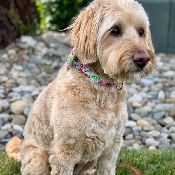 Handmade Duck Collar. Coco Collar. Green and Brown Jacquard Ribbon. for ...