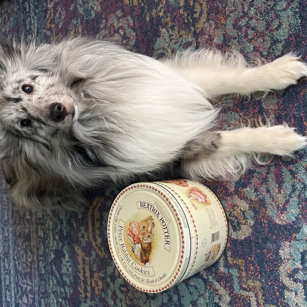 Cute Creamer by Sakura in Vintage Labels Pattern in Nice Vintage ...