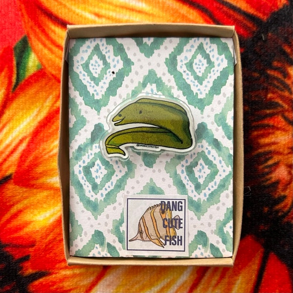 Magnet Set - 7 Cephalopods, Flamboyant Cuttlefish, Pajama Squid ...