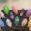 DIY Papercraft Isopod,bug Svg,papercraft Bug,papercraft Insect,low Poly ...