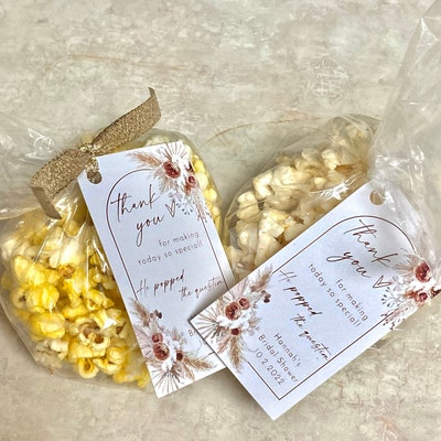 100 Popcorn Bags 4x2x8 Gusseted Poly - Etsy