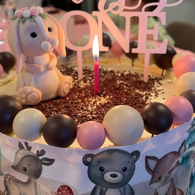 Custom Cake Topper First Birthday Cake Topper Acrylic Cake Topper Baby ...