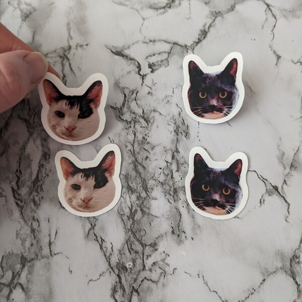 Custom Pet Pin | Personalized Dog Acrylic Brooch | Custom Cat Photo ...