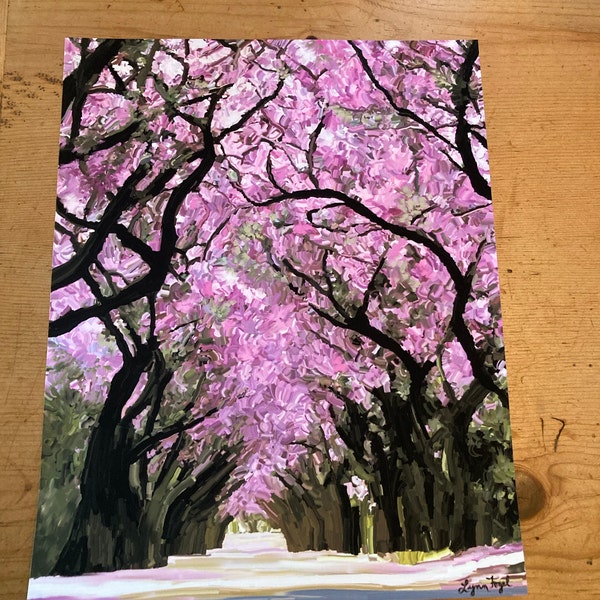 Jacaranda Tree Prints on Fine Art Paper, Gallery Wrap Canvas and ...