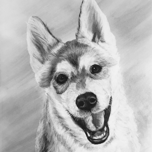 Pet Portrait Custom Charcoal Pet Loss Gift Dog Portrait Charcoal Pet ...