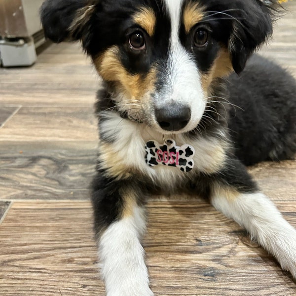 Custom Alphabet Magnets, Fridge Magnets, Resin Magnets, Toddler ...