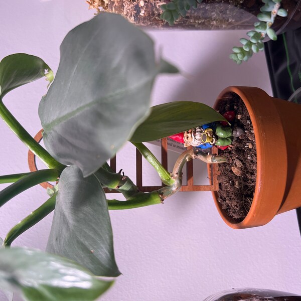 Ladder Arch Indoor Plant Trellis (3 Sizes for 2-6" Pots) | Mini & Small ...